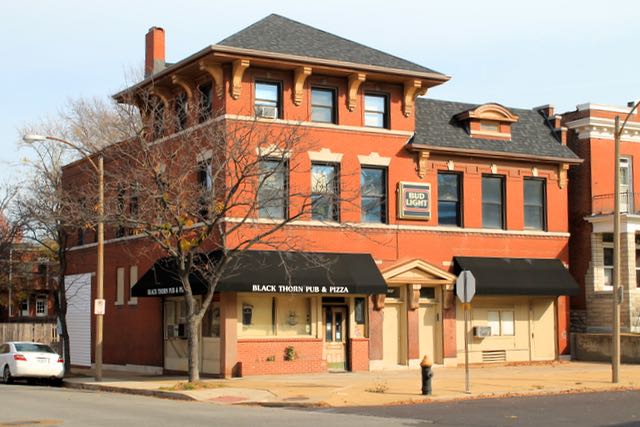 Tower Grove South Neighborhood Guide